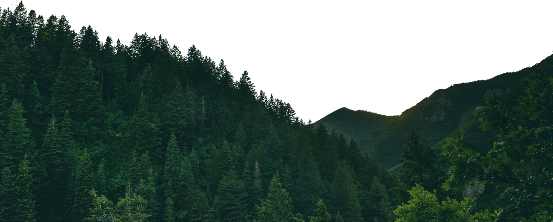 What Is Answer Engine Optimization (AEO) and Why Your Business Needs It ...