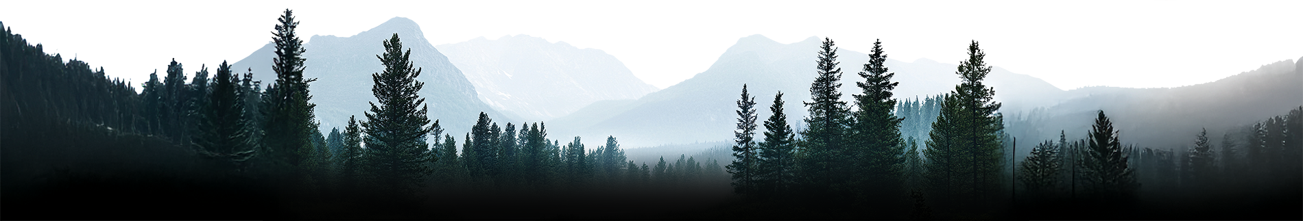 What Is Answer Engine Optimization (AEO) and Why Your Business Needs It ...